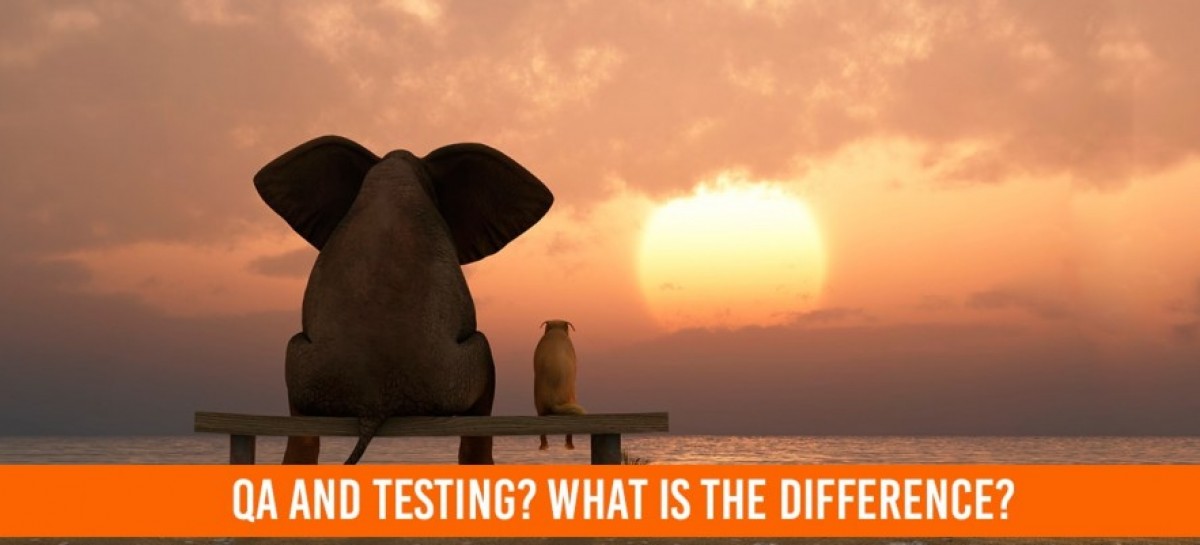 Difference Between QA And Testing Blog QATestLab