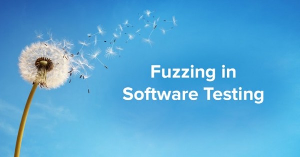 What is Fuzz Testing? - QATestLab Blog