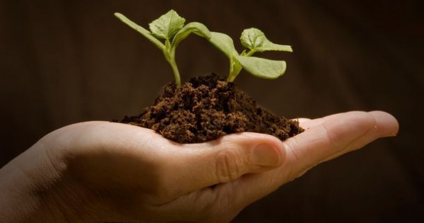 Test Case Using State-Transition Diagram - QATestLab Blog