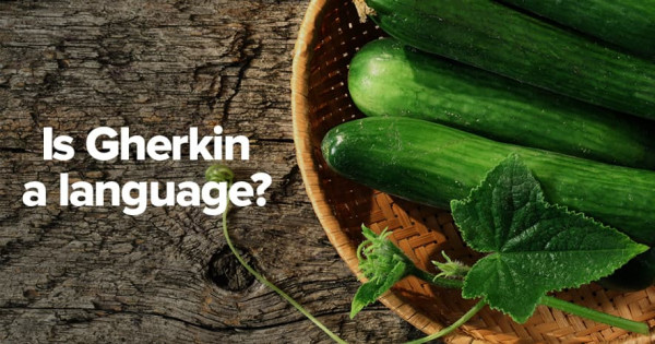 What Is the Gherkin Language? - QATestLab Blog