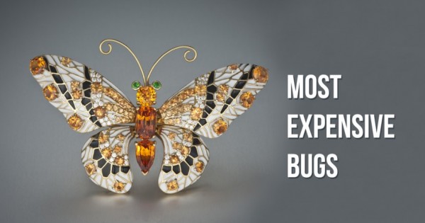 Most expensive bugs of 2016 - QATestLab Blog
