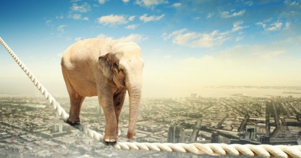 Agile Testing Crossing The Ts Qatestlab Blog