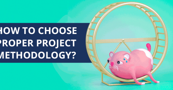 How to Choose Correct Project Methodology? - QATestLab Blog
