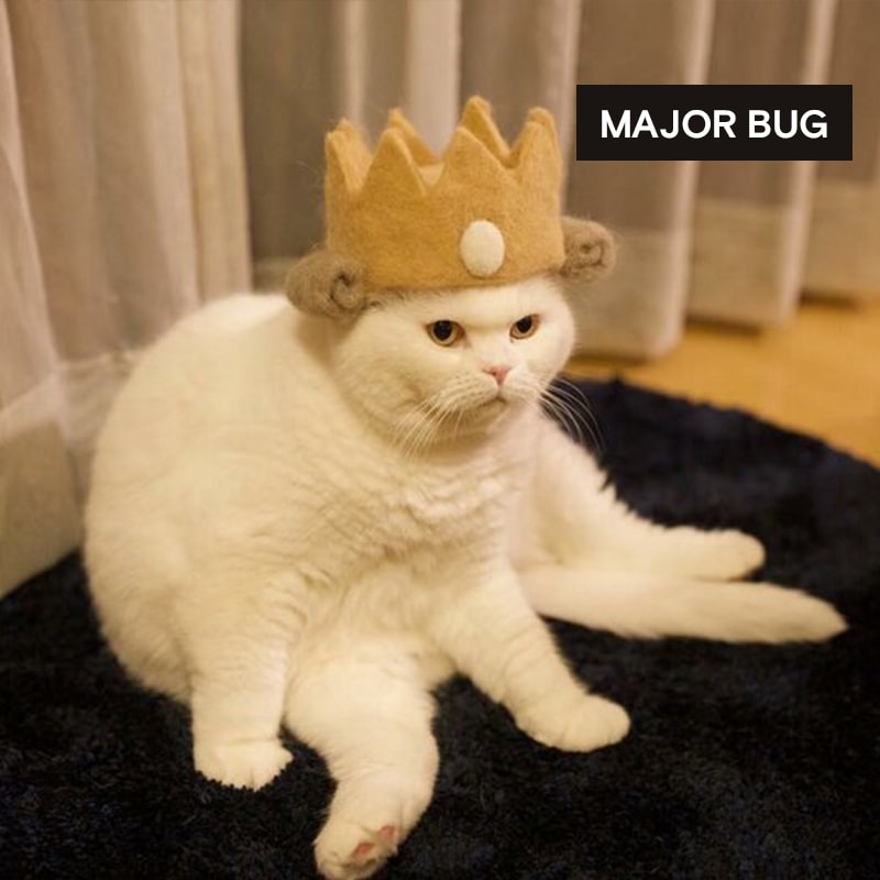 Main Software Testing Types or Testers-Cats - QATestLab Blog