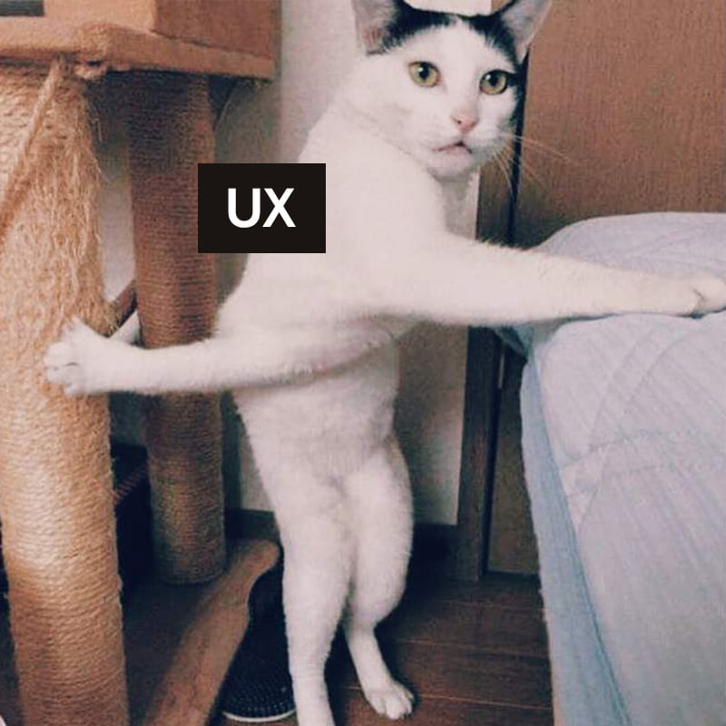 Main Software Testing Types Or Testers Cats Qatestlab Blog