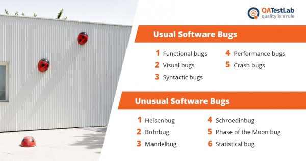 Software Bugs & Ways to Prevent Them - QATestLab Blog